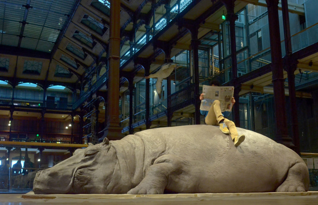 Allora & Calzadilla – Hope Hippo – Grappa Studio